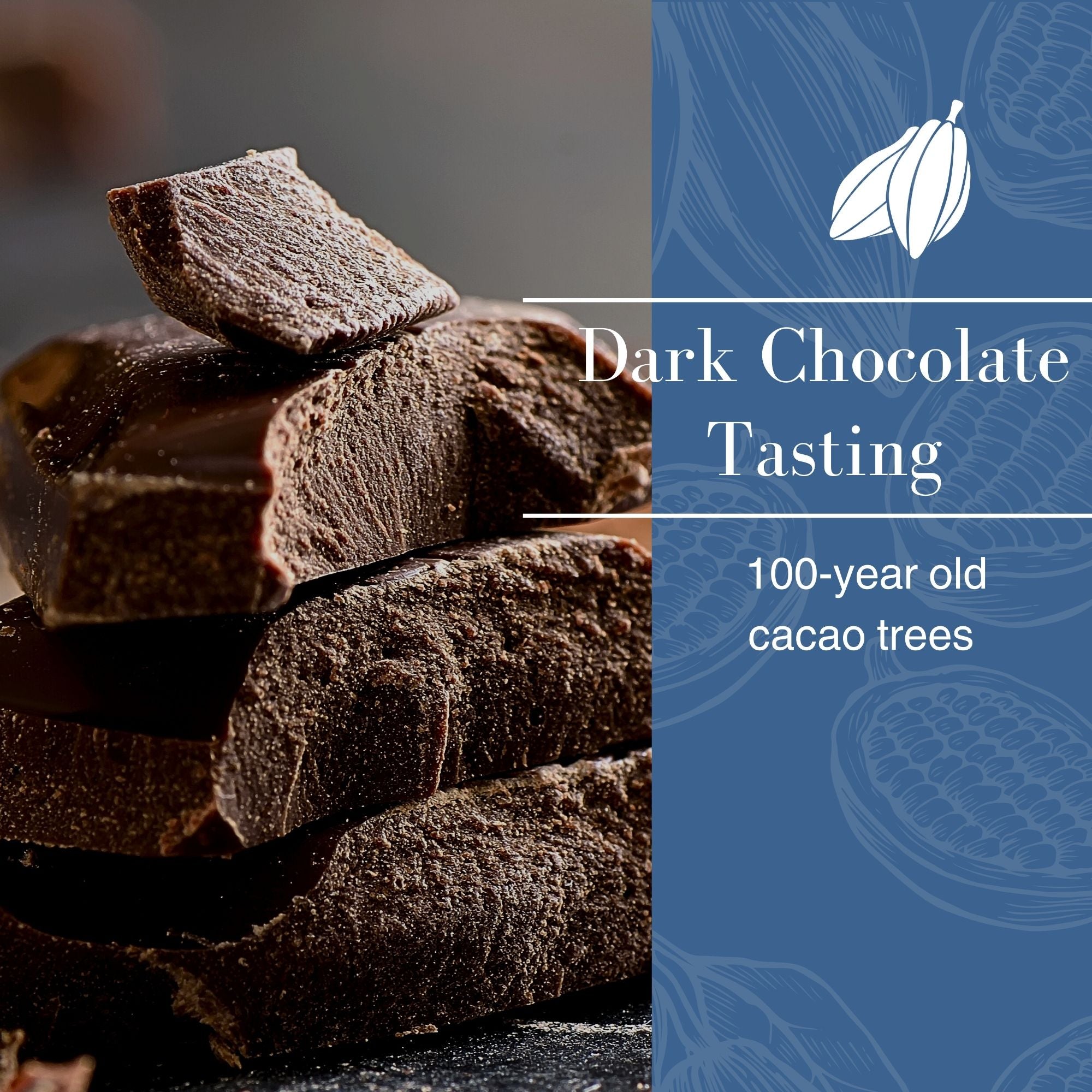 Dark Chocolate Tasting | 100-year old cacao trees – Urku