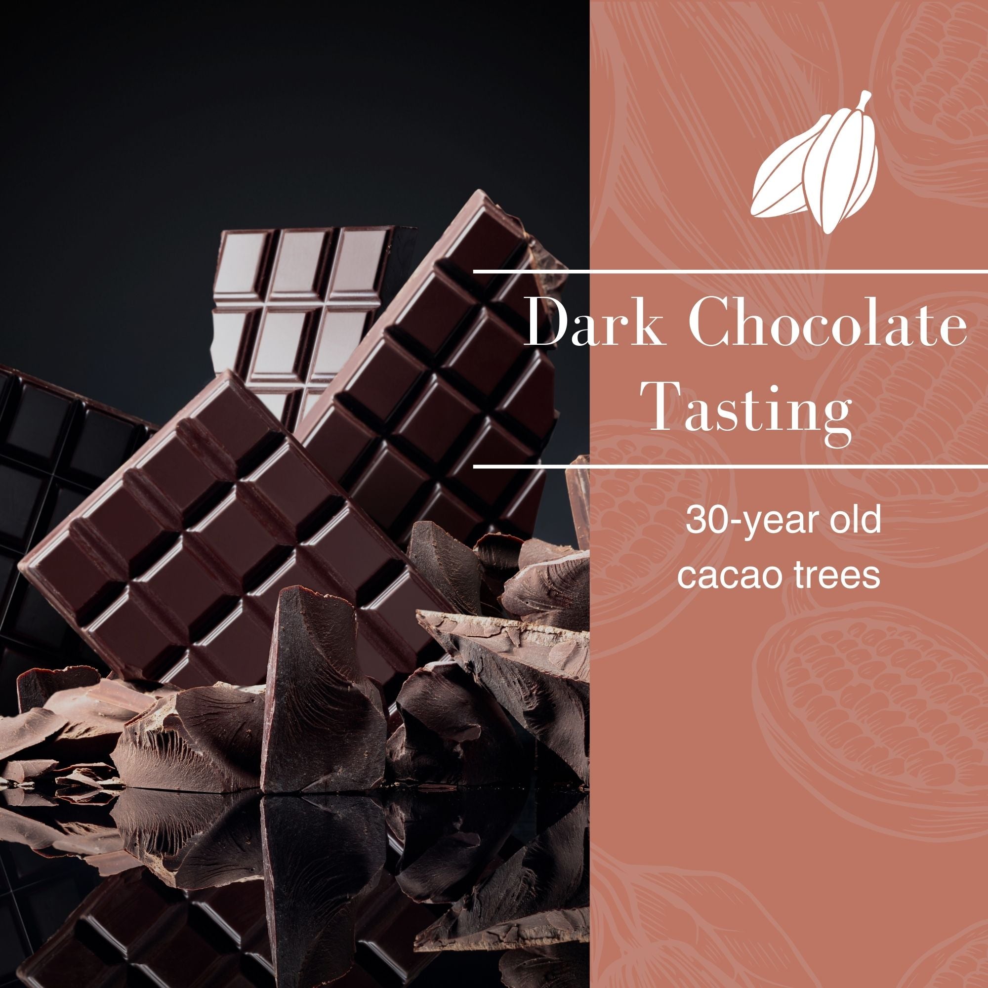 Dark Chocolate Tasting | 30-year old cacao trees – Urku
